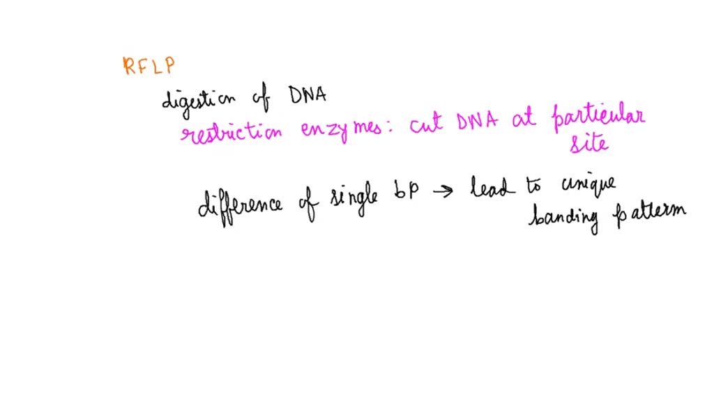 SOLVED: Hi, I will thumbs up immediately. Thanks 1. Why is Restriction fragment length ...