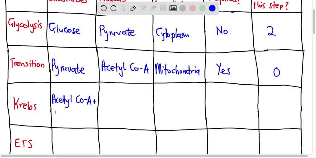 SOLVED: B. Fill out the chart below comparing Cellular Respiration, Photosynthesis, and ...
