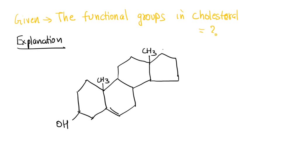 SOLVED: What functional groups are present in cholesterol?