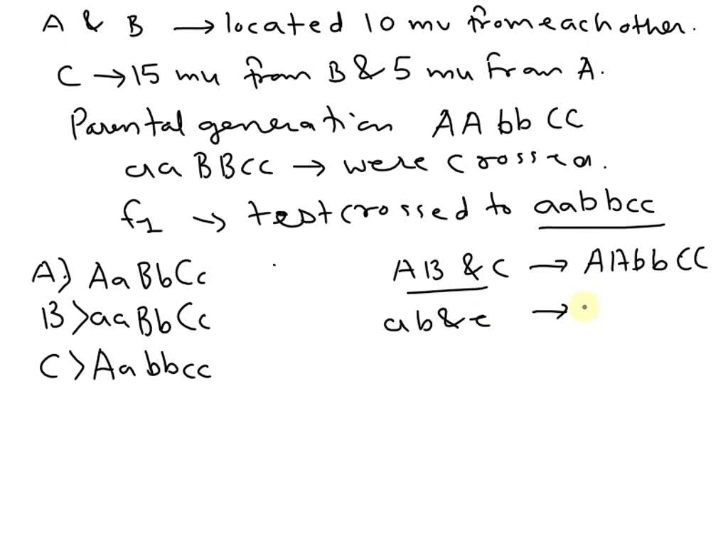 SOLVED: Two genes, designated A and B, are located 10 mu from each ...