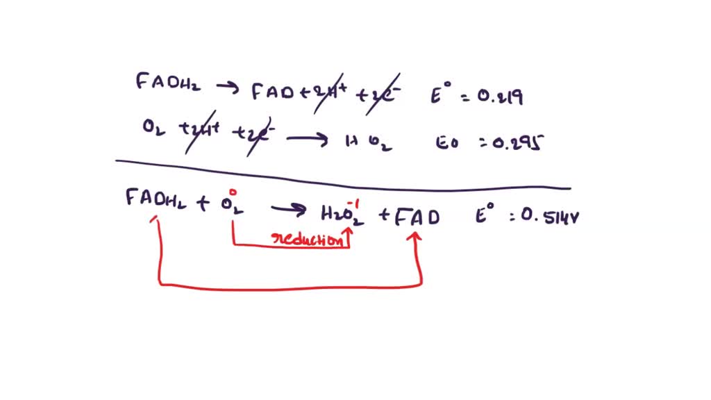 Given the following half reactions with their corresponding standard ...