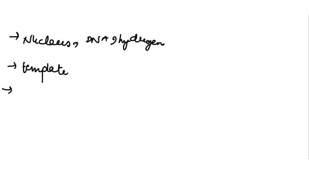 SOLVED: DNA replication paragraph (Keyboard Navigable Alternate Version ...