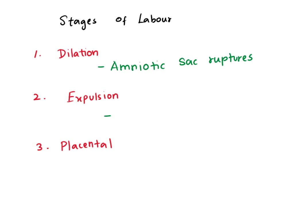SOLVED: Chapter 15 1) What does uterine involution depend on? 2) Why is ...