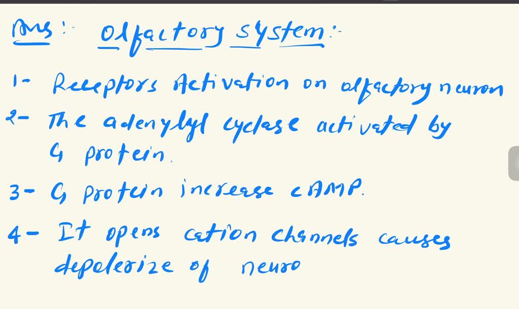 SOLVED: Explain the differences and similarities between the visual and olfactory transduction ...