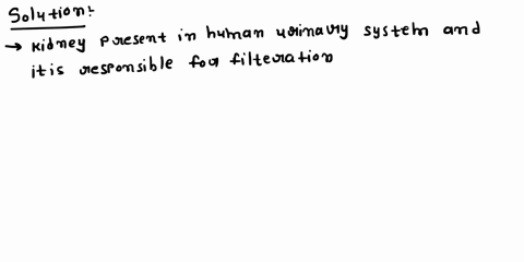 This figure shows the anatomy of the human urinary system...
