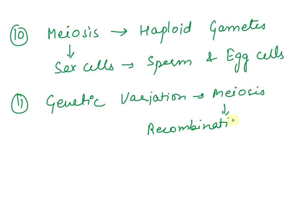 Question 9 1 pts Which event leads to a diploid cell in a life cycle ... Question 9 1 pts Which event leads to a diploid cell in a life cycle ...