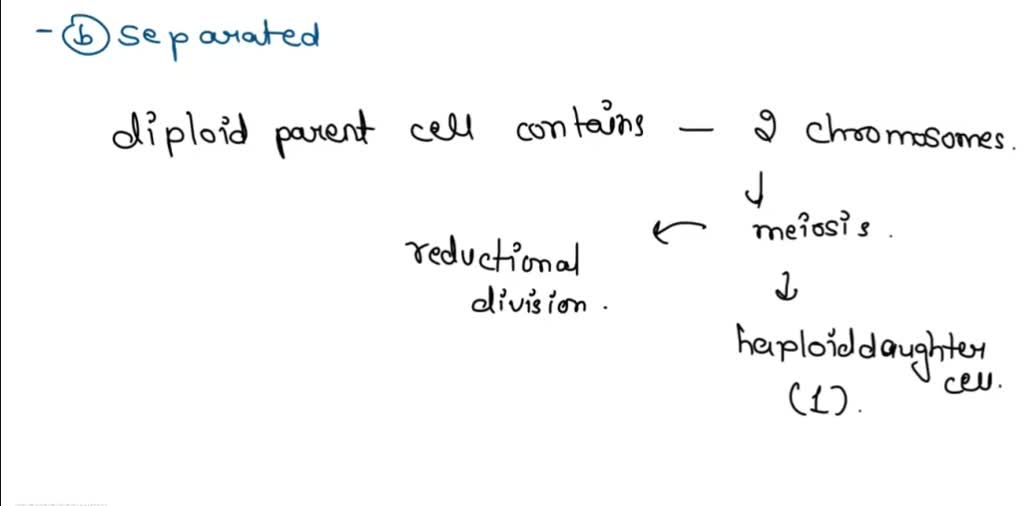 SOLVED: In a haploid daughter cell produced by meiosis, the homologous ...