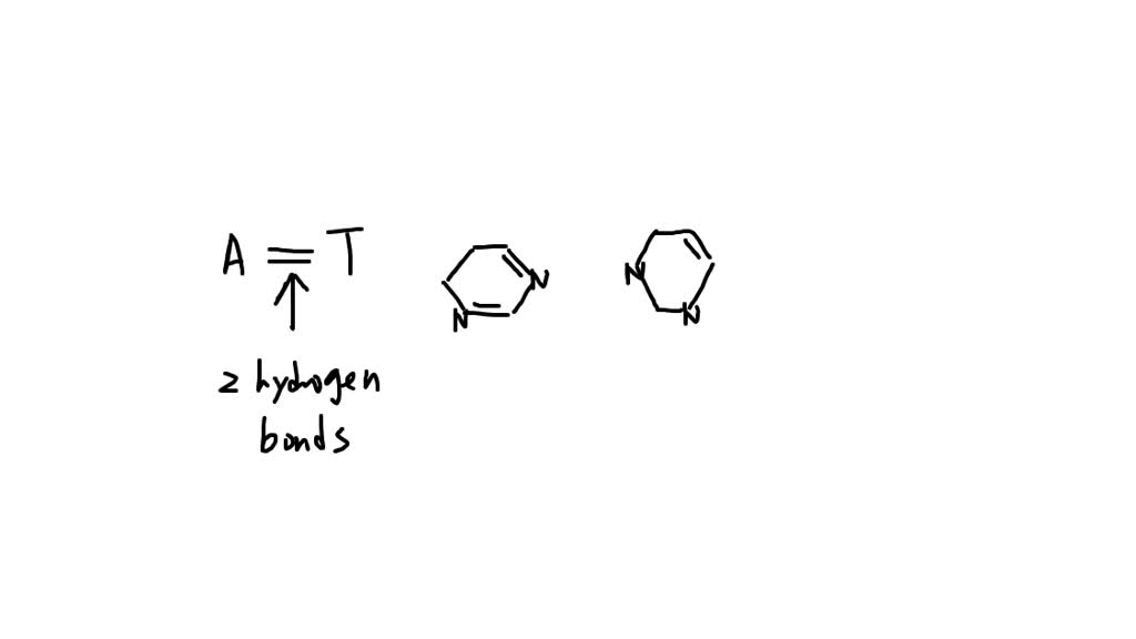 SOLVED: Q1.9. Look at the figure to the right. How many hydrogen bonds ...