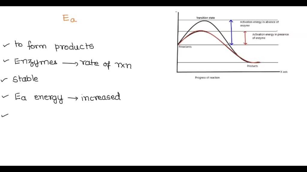 SOLVED: axis Transition state Activation energy in absence of enzyme ...