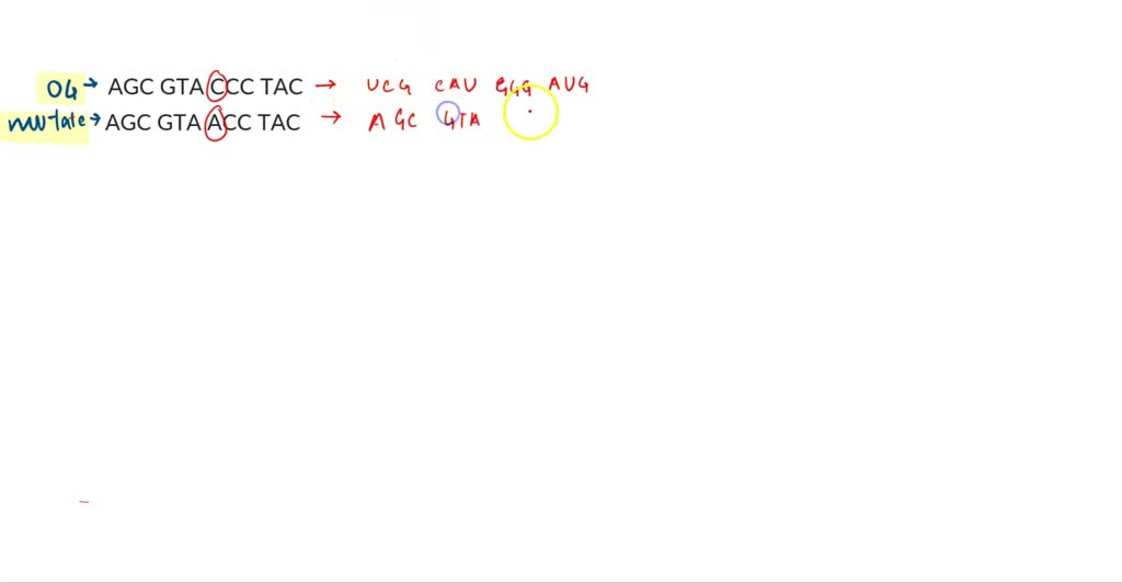 SOLVED: Refer to the original strand of DNA provided below Original DNA ...