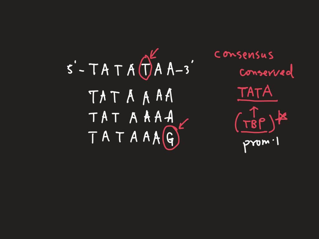 SOLVED: The term consensus sequence is commonly used in biology to define the most common ...