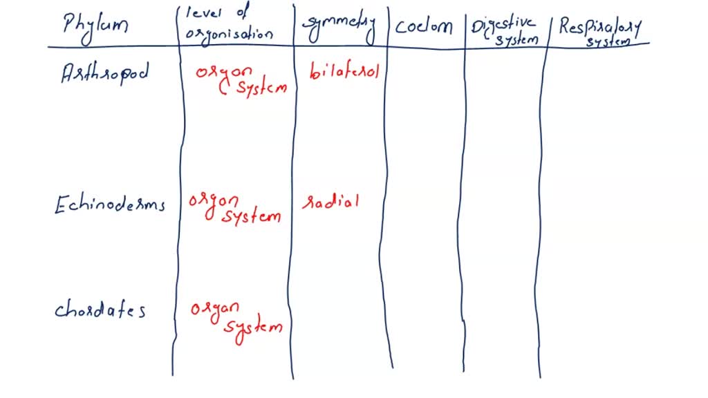 SOLVED: Compare arthropods, echinoderms, and chordates in terms of ...