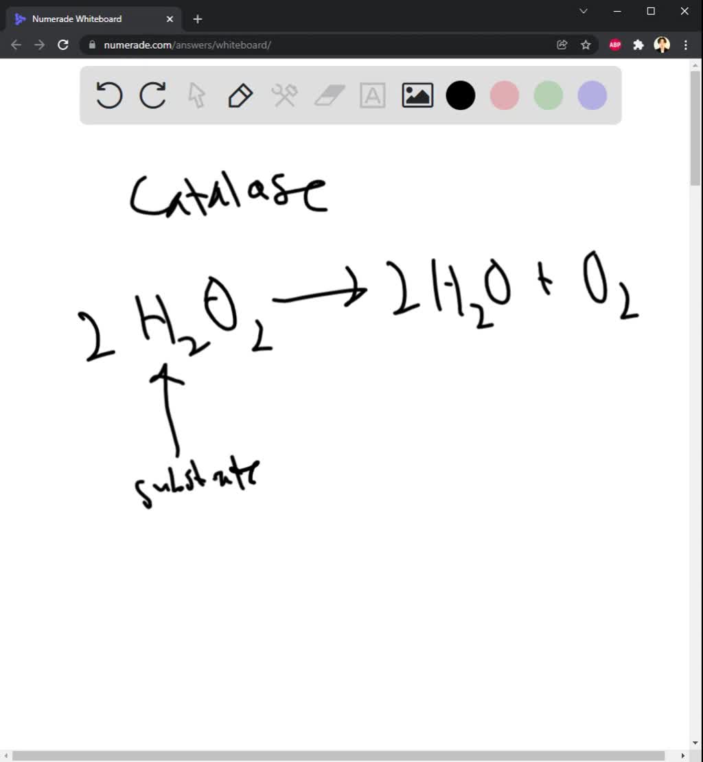 SOLVED: In the enzyme lab, we added liver to the hydrogen peroxide ...