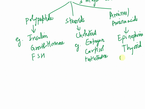 How do lipophilic and lipophobic hormones differ with regard...