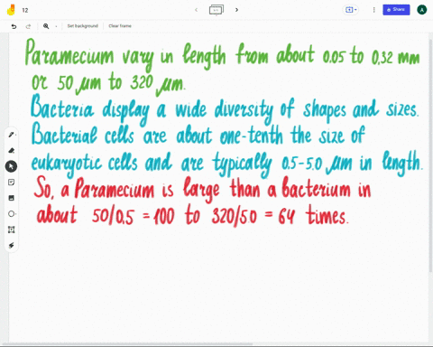 SOLVED: What is the biggest cell ever recorded? What is the biggest ...