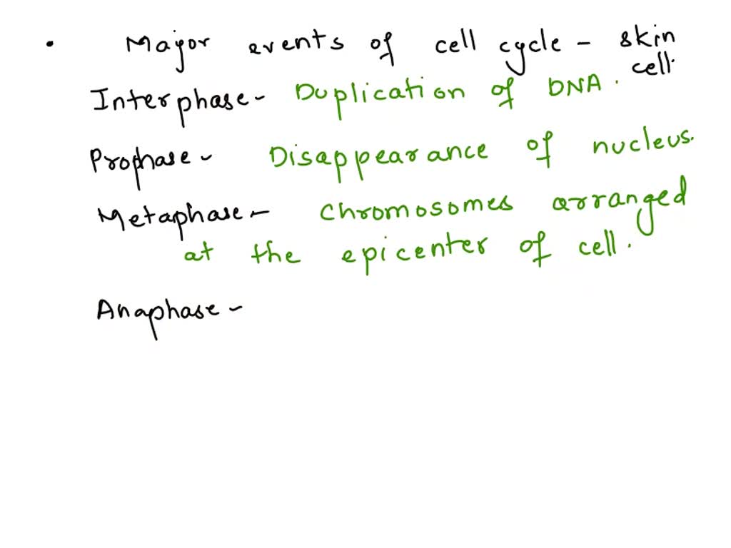SOLVED: What are the major events that occur during each of the stages ...