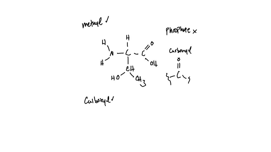 SOLVED: Look at the molecule below. Which functional groups does this ...