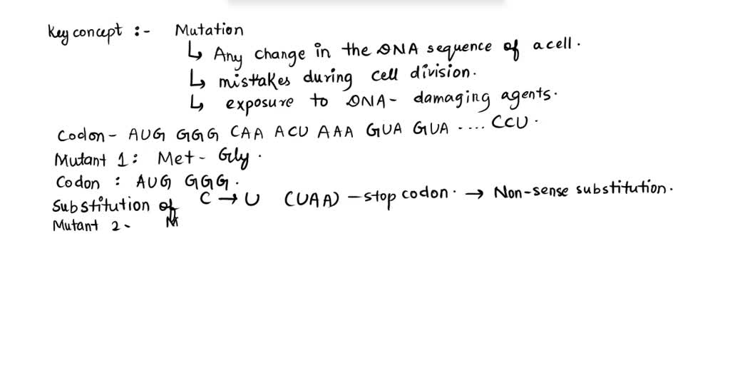 SOLVED: The diagram below shows the normal sequence of a particular protein, along with several ...