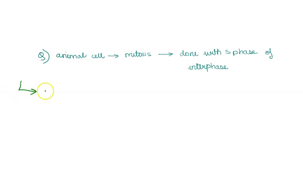 SOLVED: Q1- Do all cells go through the complete sequence of event in the cell cycle? Explain ...