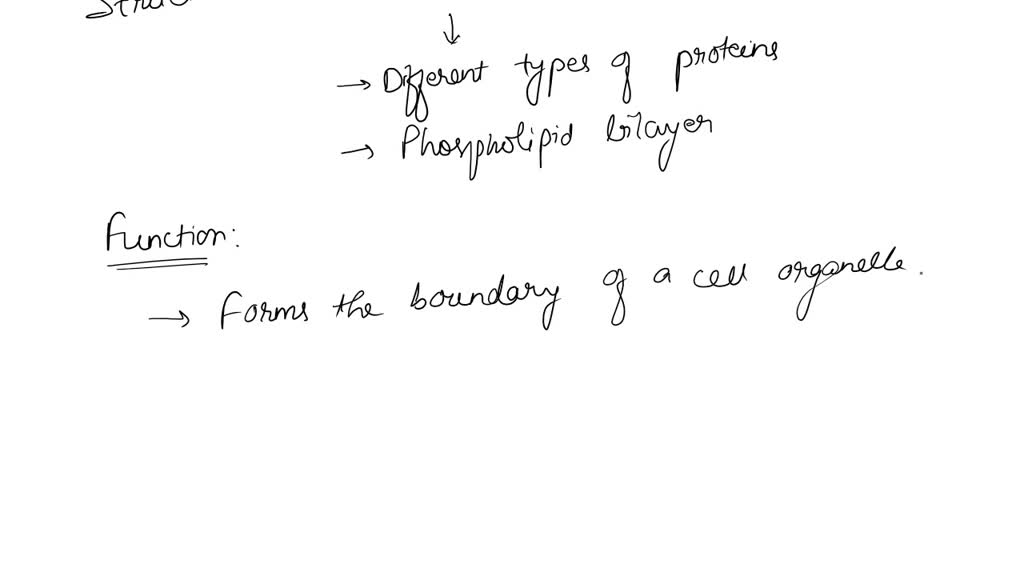 SOLVED: function of the structure shown below is to: Select one: form ...