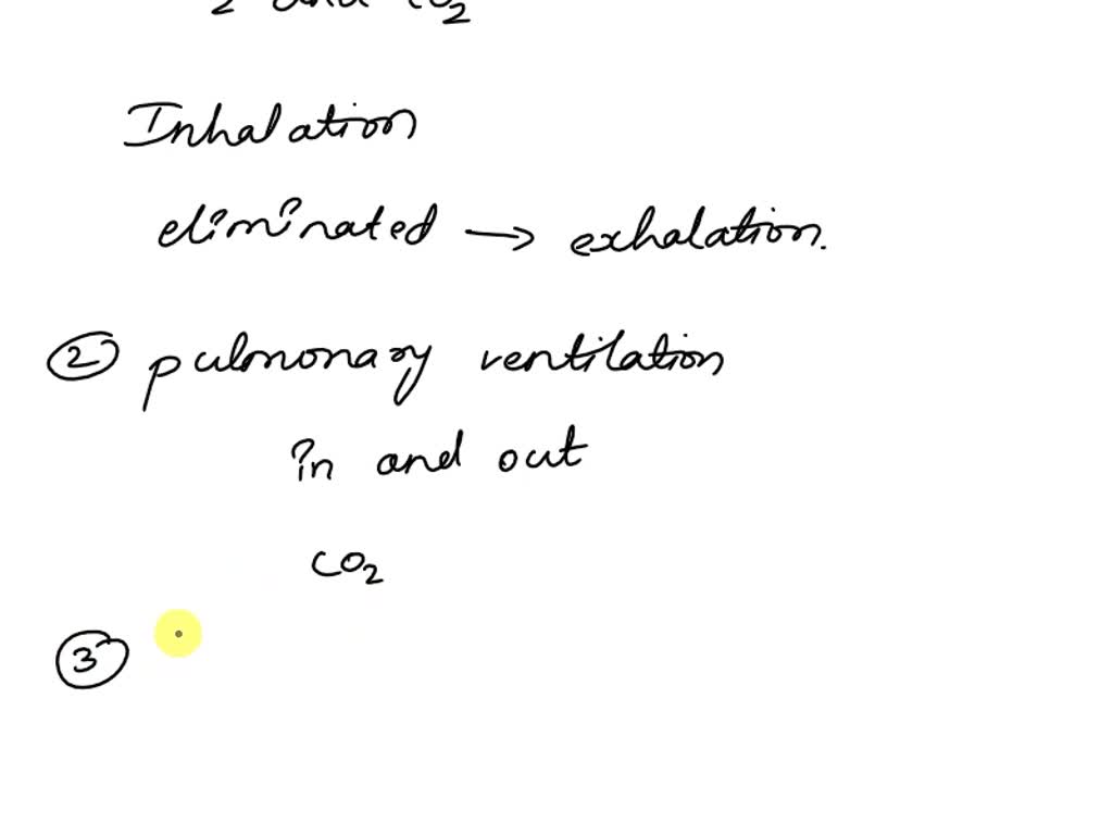 SOLVED: List the major functions of the respiratory system