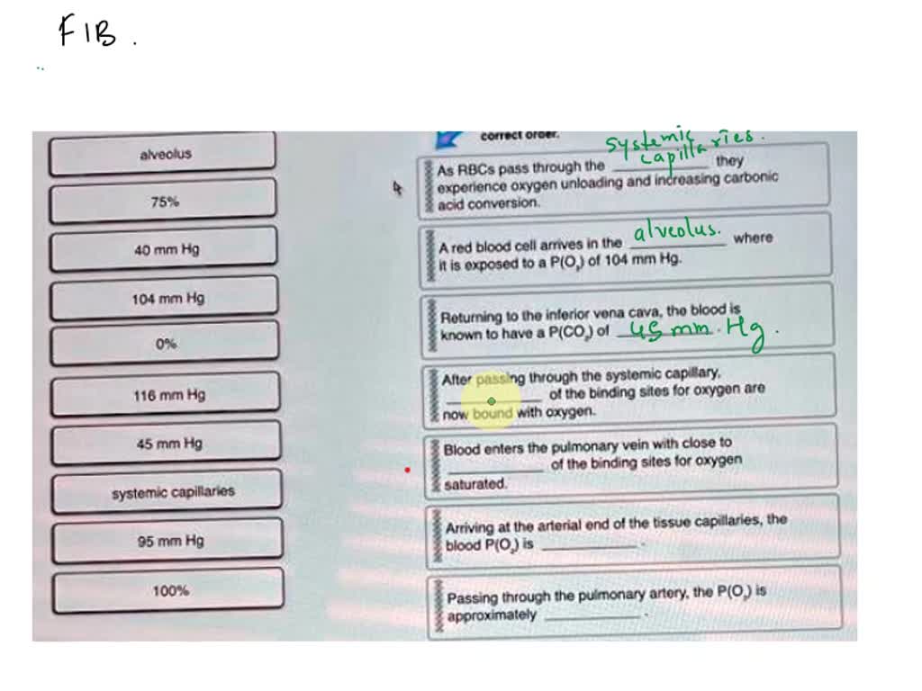 Solved Match The Levels Of Po2 And Pco2 With The Corresponding Point