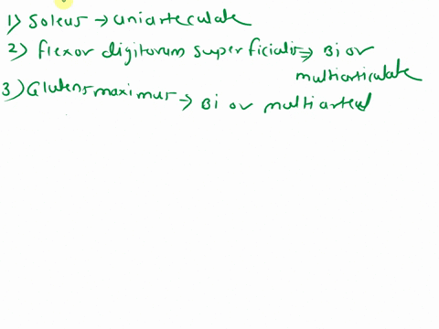Check all of the muscles that flex the arm at the...