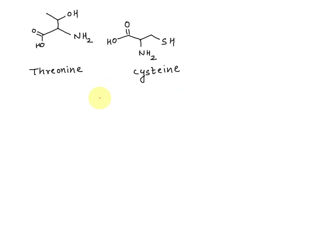 SOLVED: Draw the structure of isoleucylcysteine, a dipeptide made from isoleucine and cysteine ...