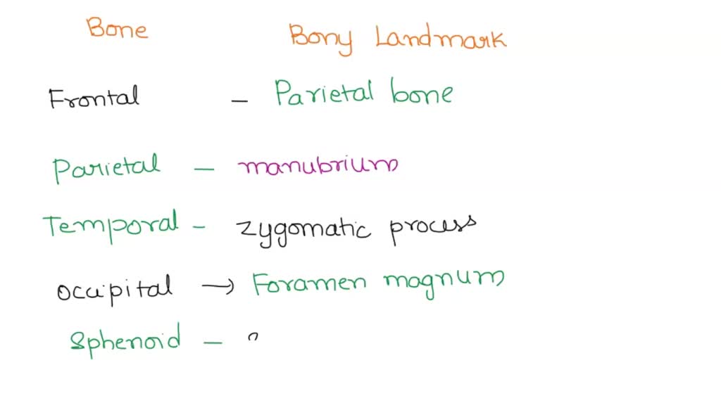 SOLVED: Using skeletons and models, find examples of the bony landmarks in the table. Describe ...