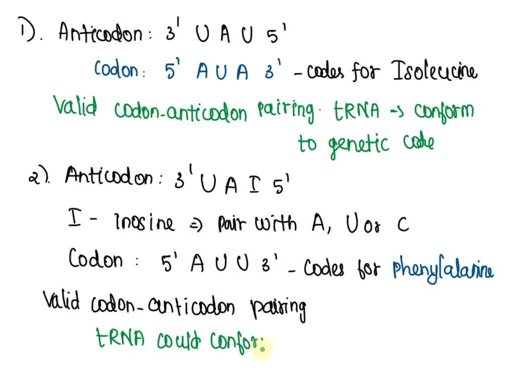 SOLVED: 1. Anticodon: 3' U A U 5' Could this tRNA conform to the nearly ...