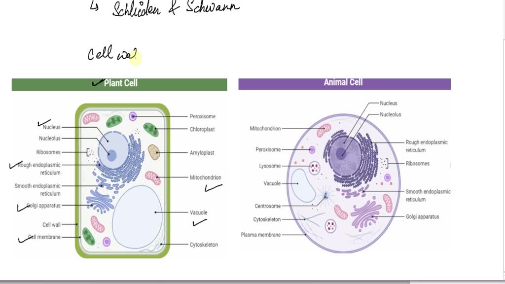 SOLVED: The smallest unit of biological structure that meets the ...