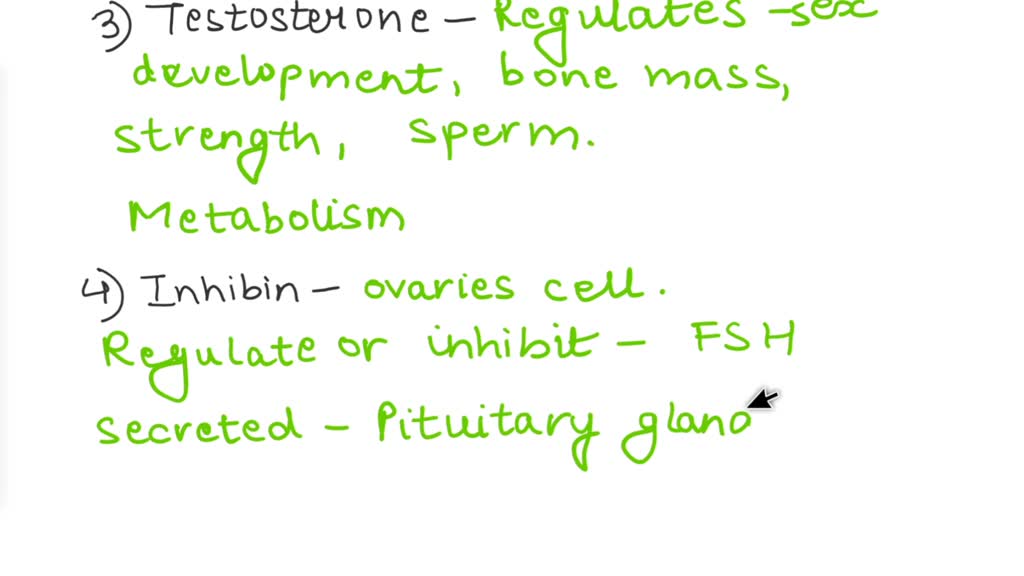 SOLVED: Describe the function of the hormones in the male reproductive ...