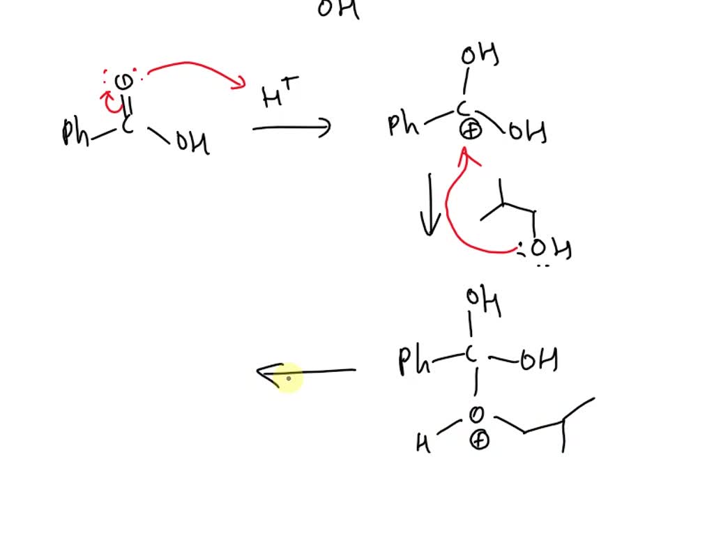 SOLVED: Show the mechanism of Fischer esterification reaction. (Don't ...