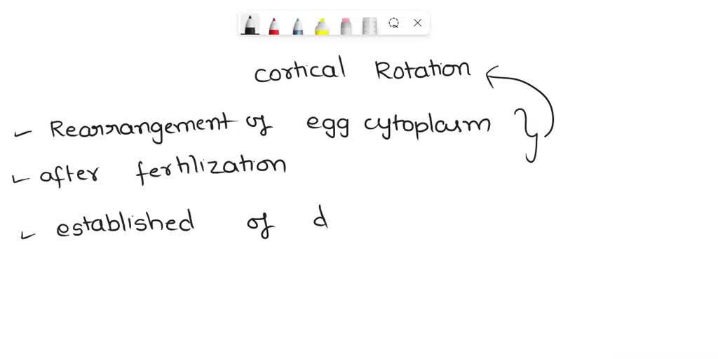 SOLVED: 9. What happens during the cortical rotation? 10. What is the ...