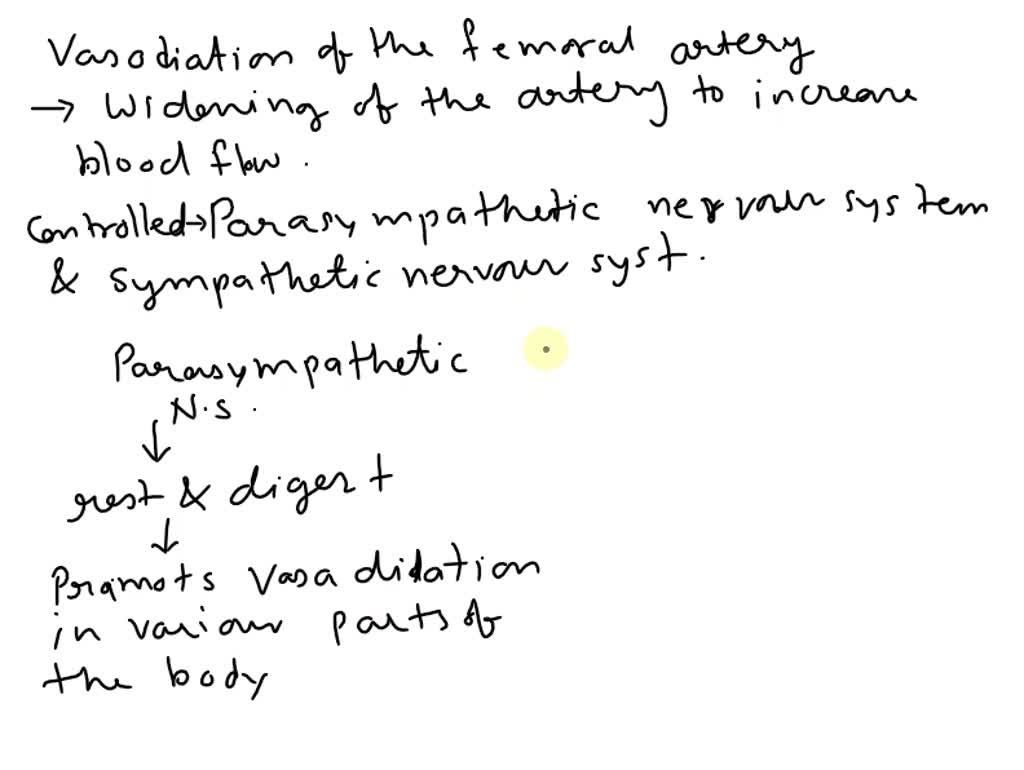 SOLVED: don't understand..please help Vasodilating your femoral artery ...