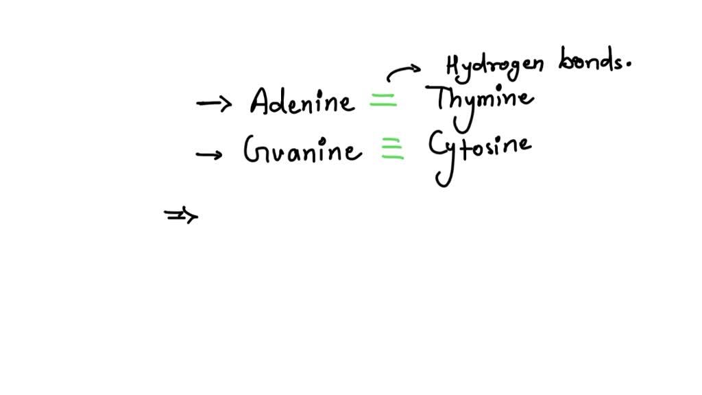 SOLVED: Draw the chemical structure ofthe following double-stranded DNA ...