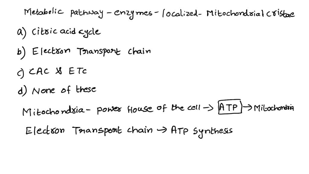 SOLVED: Identify a metabolic pathway associated with the enzymes ...