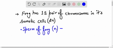 chromosomes Sperm type of cell division: chromosomes Egg 13 chromosomes ...