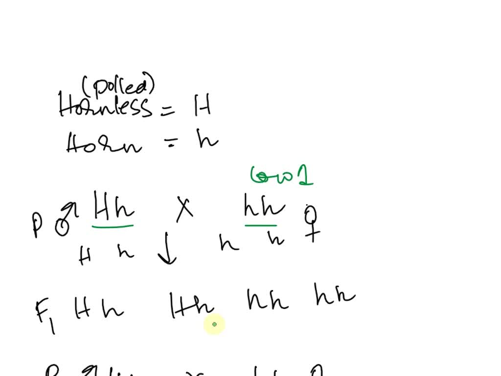 SOLVED: the polled ( hornless) trait in cattle is dominant, the horned ...