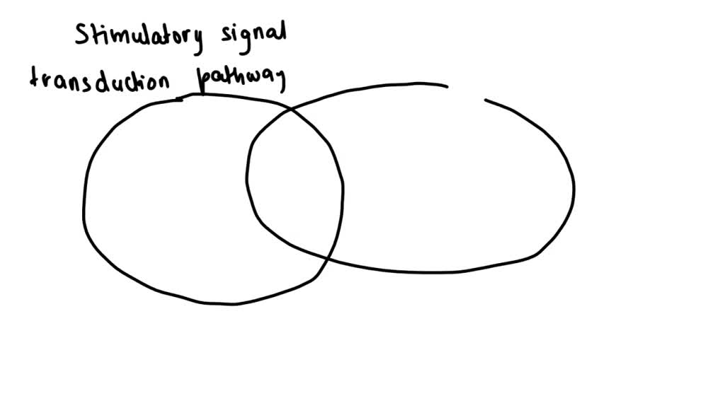 SOLVED: Complete the Venn diagram that compares stimulatory and ...