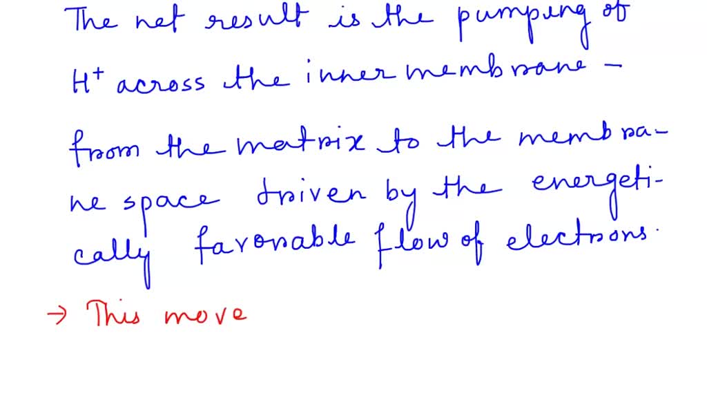 SOLVED: Which part of the mitochondria has higher PH? Intermembrane ... SOLVED: Which part of the mitochondria has higher PH? Intermembrane ...