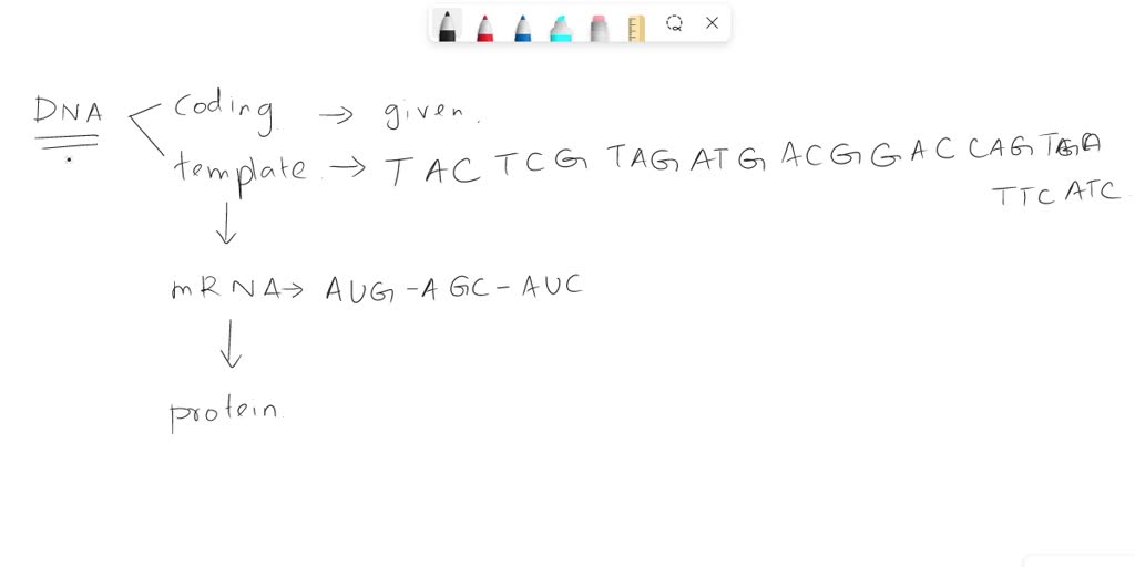 SOLVED: Shown below is the sequence of a coding strand of DNA with no introns present ...