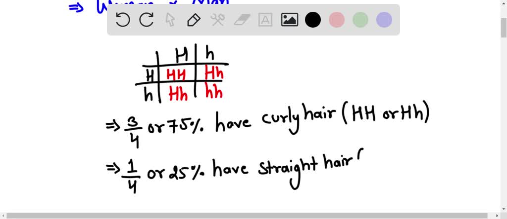SOLVED: In humans, curly hair is dominant over straight hair. Which ...