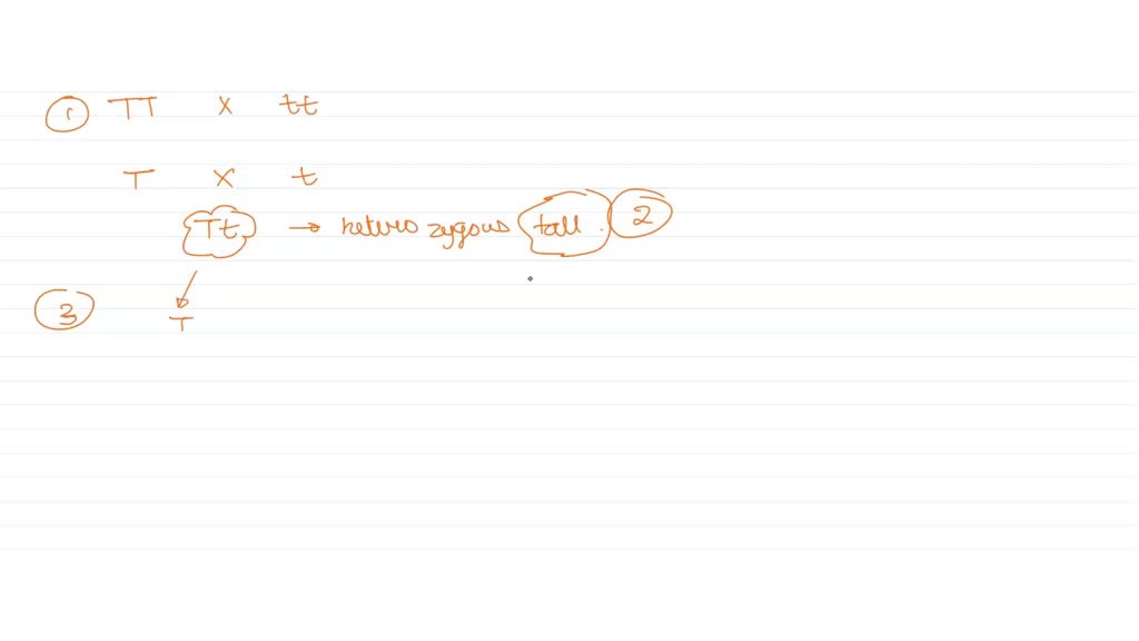 SOLVED: Genetics Lab: In pea plants, tall plants are dominant to short ...