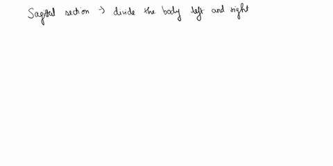 A vertical longitudinal section through the midline is...