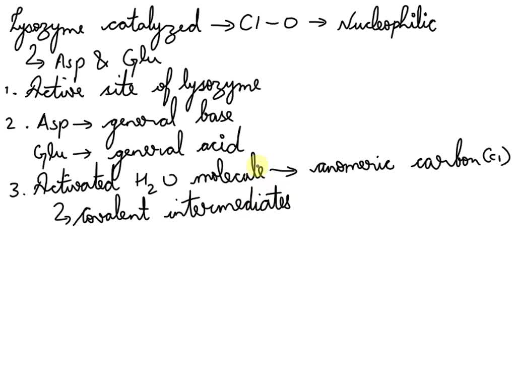 SOLVED: Two key amino acid side chains (an Asp and Glu) essential for ...