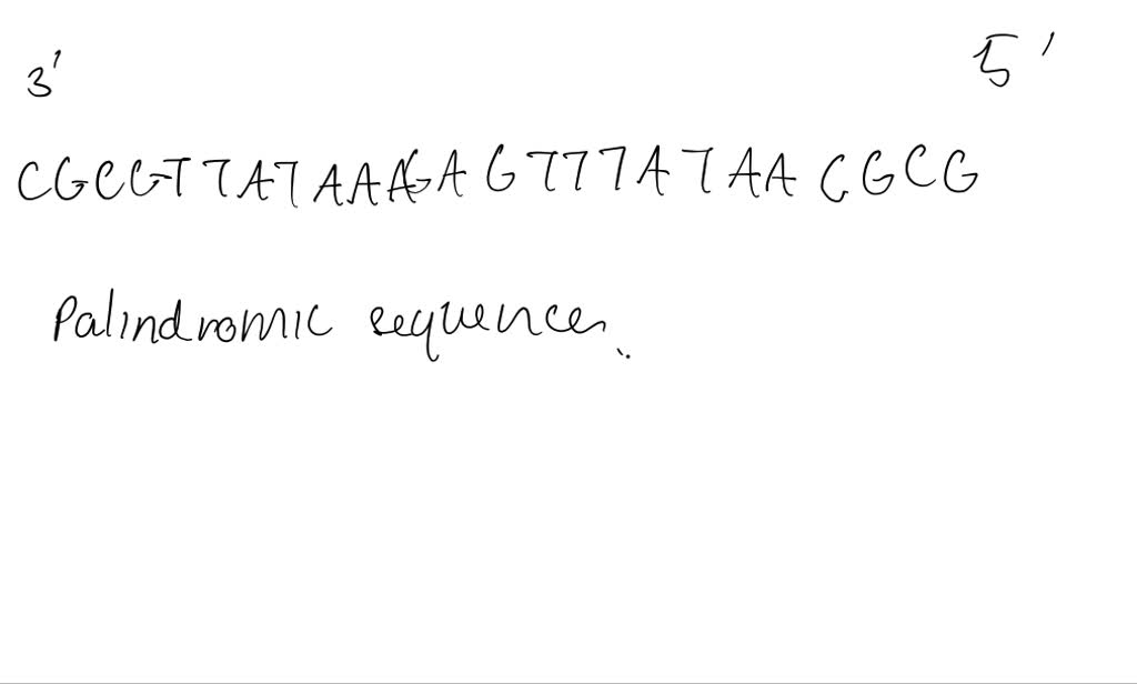 SOLVED: Base Sequence of Complementary DNA Strands One strand of a ...