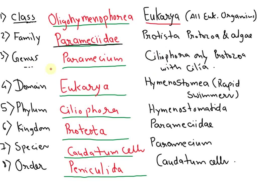 SOLVED: Place the correct labels next each taxonomic level for ...