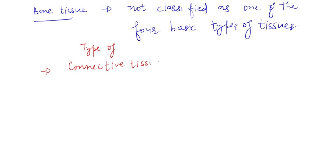 SOLVED: can tou please help me answer this question? Which statement ... SOLVED: can tou please help me answer this question? Which statement ...