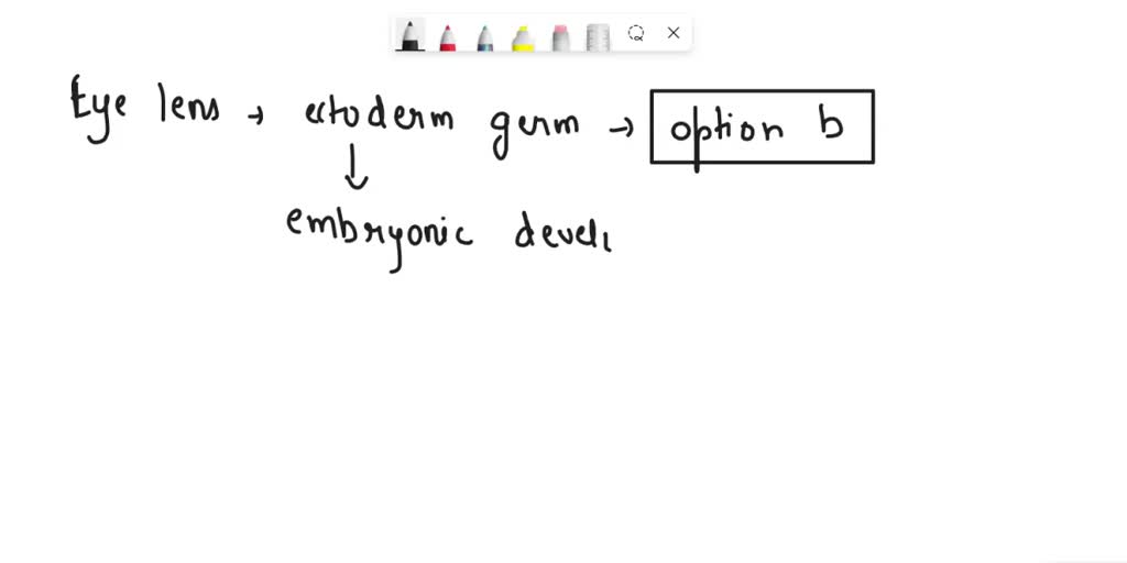 SOLVED: The eye lens is derived from which germ layer? A] Ectoderm B ...